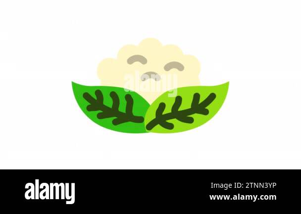 Cauliflower, Vegetables animated icon on transparent background Stock ...