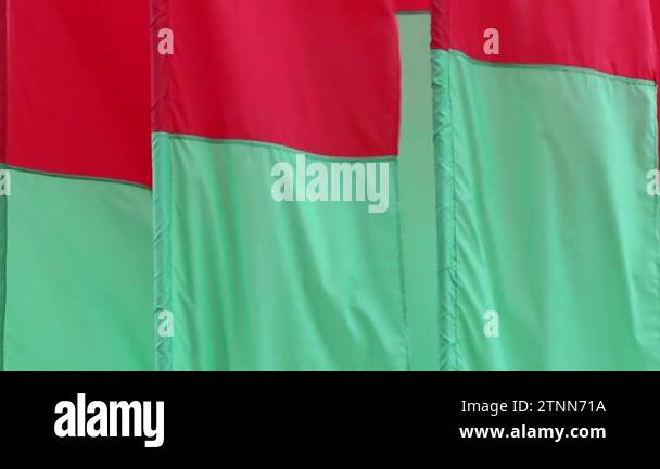 Green pledge Stock Videos & Footage - HD and 4K Video Clips - Alamy