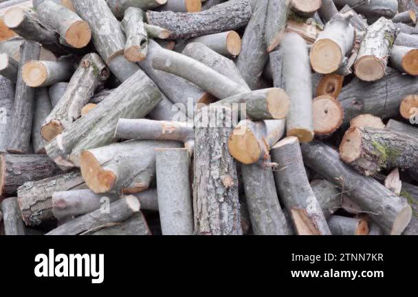 A view of a wile of cut pieces of wood into small trunks. Every now and ...