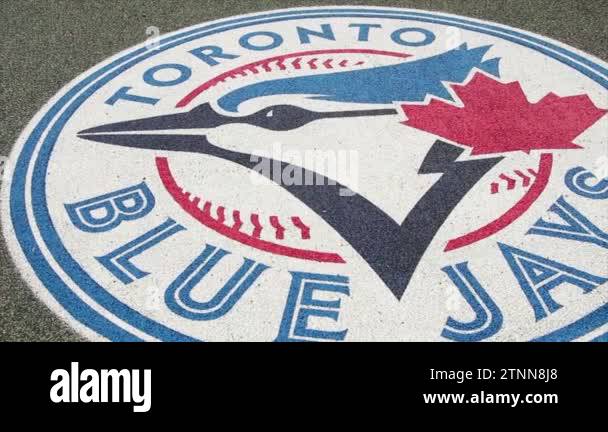 toronto blue jays circle logo printed on gray baseball turf, show on ...