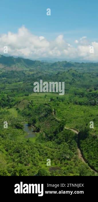 Mountain landscape: mountains with green forests and agricultural land ...