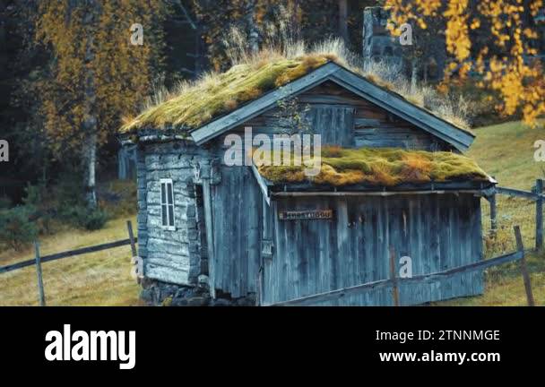 Traditional turf roof hut Stock Videos & Footage - HD and 4K Video ...