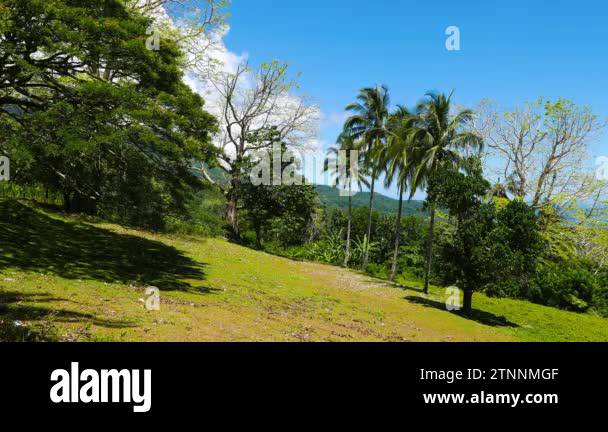 Surroundings of Mount Hibok Hibok Volcano Observatory; Camiguin Island ...