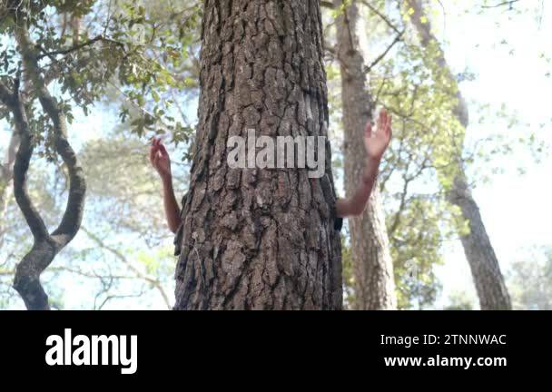 Happy children hugging a tree with his hands. Forest environment ...