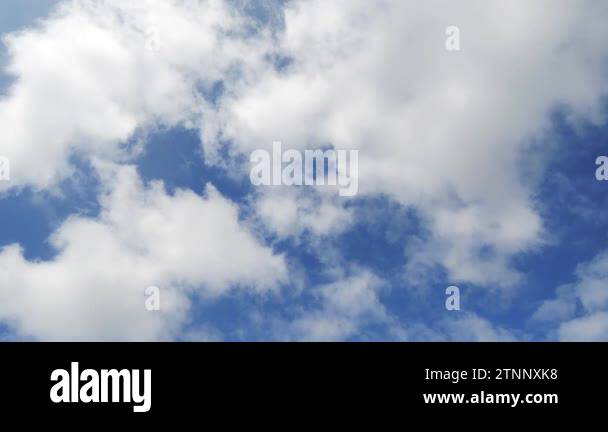 A real time video showing the motion and transformation of different ...