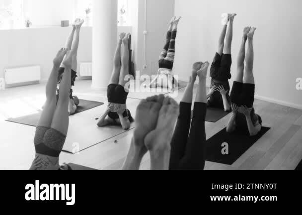 Group of people doing yoga asanas in studio Stock Video Footage - Alamy