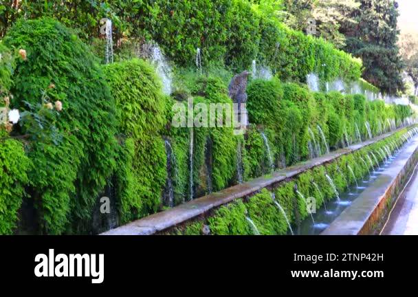 Este culture Stock Videos & Footage - HD and 4K Video Clips - Alamy