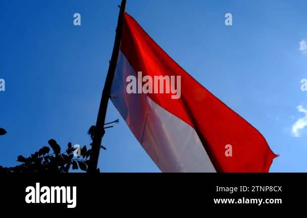 Indonesia flag Motion waving in wind. Indonesian flag waving in the ...