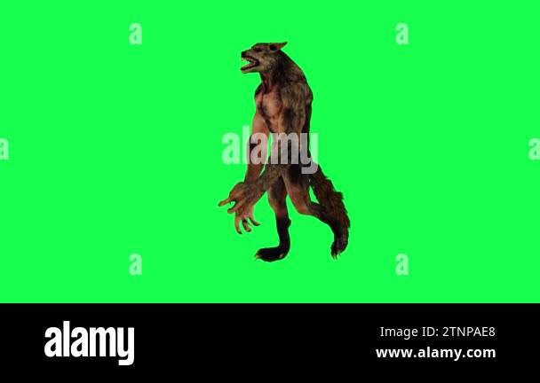 3d scary animated werewolf walking right angle isolated green screen ...