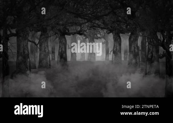Cemetery in mist Stock Videos & Footage - HD and 4K Video Clips - Alamy