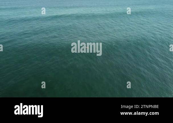 Top view of a lonely surfer in the middle of the ocean. Alone in the ...