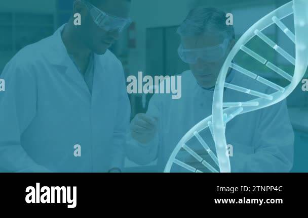 Animation of rotating dna helix over diverse scientist discussing about sample in laboratory ...