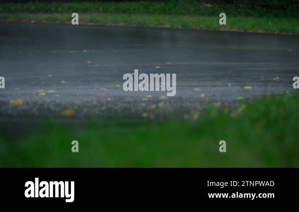 Fog after rain, heavy rain water drops falling into big puddle on ...