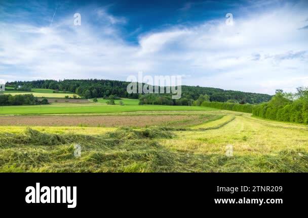 Huge farm agricultural fields with cereal crops and different edible ...