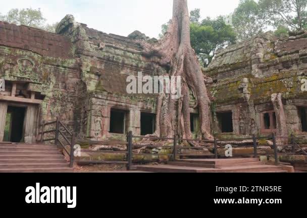 Ta Prohm Temple Bayon Style in Angkor Archeological Park - Tree Roots ...