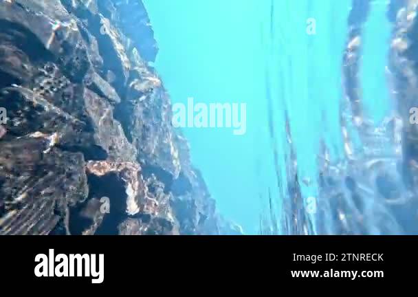 Blue green algae over lake Stock Videos & Footage - HD and 4K Video ...