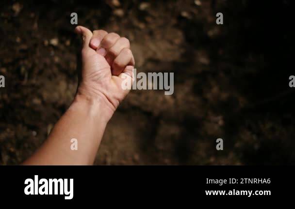 rice in the hands of man, concepts of hunger and concepts of poverty ...