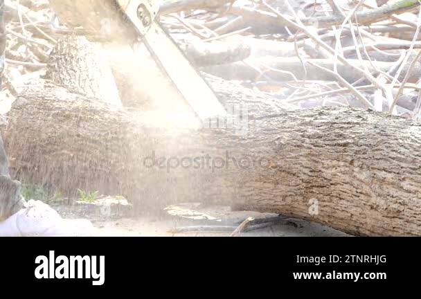 Death by sawing Stock Videos & Footage - HD and 4K Video Clips - Alamy