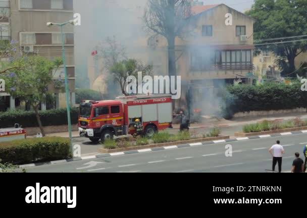 Burning cypress tree in blazing flames at the backyard of a house as a ...