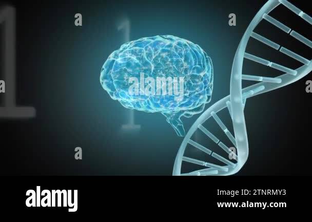 Animation of human brain, dna strand and binary coding over green background. Global science ...