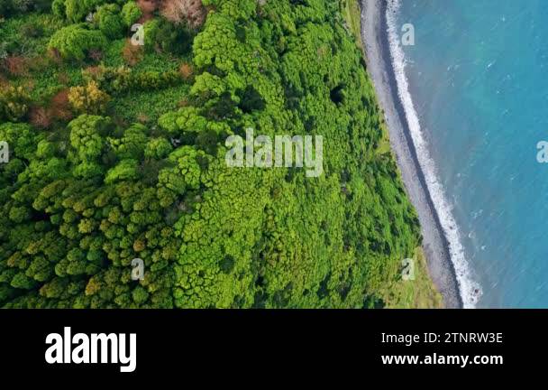 Green tropic coastline aerial view. Stunning tranquil nature landscape ...