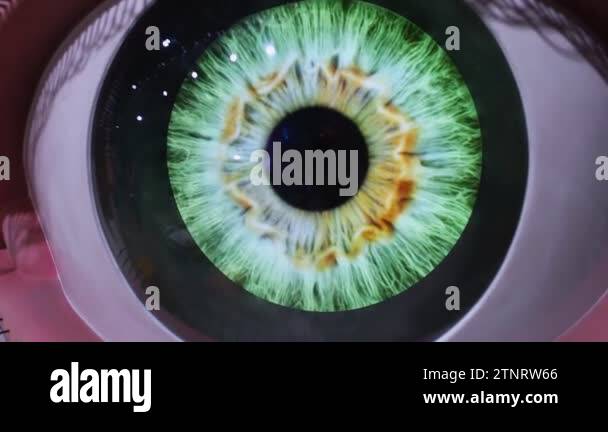 Medical mannequin. Close-up of a human eye with clear lines of the ...
