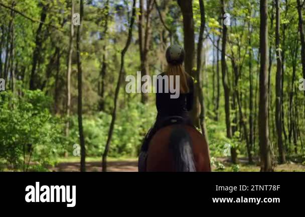 Live camera follows unrecognizable woman riding horse in summer spring ...