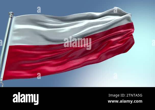 4k render Poland Flag video waving in wind. Poland Flag Wave Loop ...
