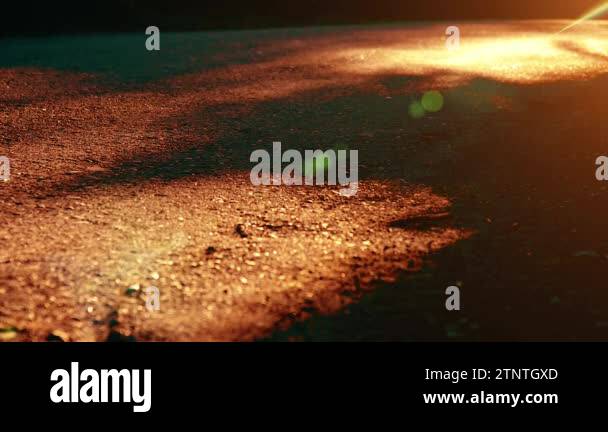 FHD sport man running at new asphalt road outdoor. Sunrise or sunset in ...