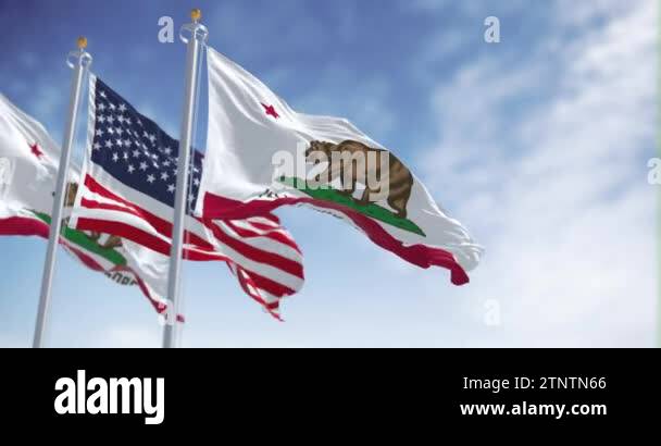 California Republic state flag waving with the national flag of the ...