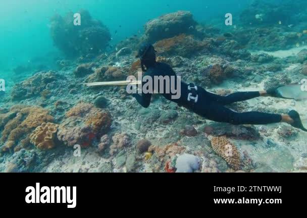 Sea spearfishing. Man spearfishes in the sea with speargun. Underwater ...