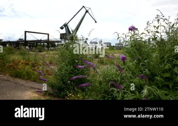 Crane on waste land port to lift heavy loads. Tracking shot left to ...