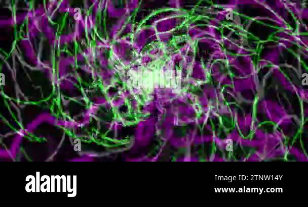 Wavy beams of light in purple, green and white shades on a dark ...