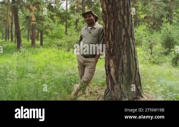Man hands full forest Stock Videos & Footage - HD and 4K Video Clips ...