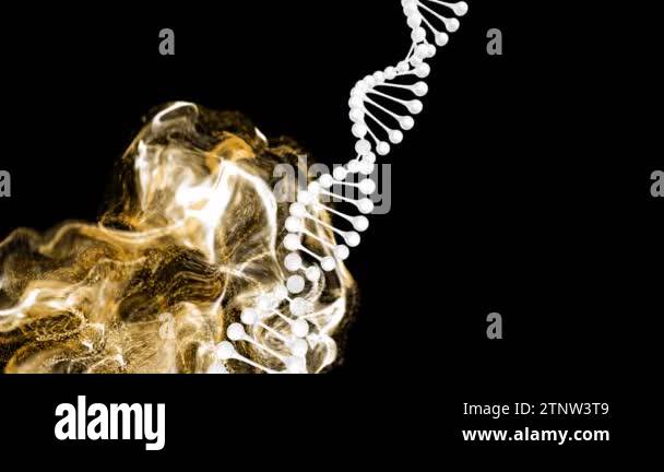 Animation of white dna helix and dots forming dynamic waves over black background. Digitally ...