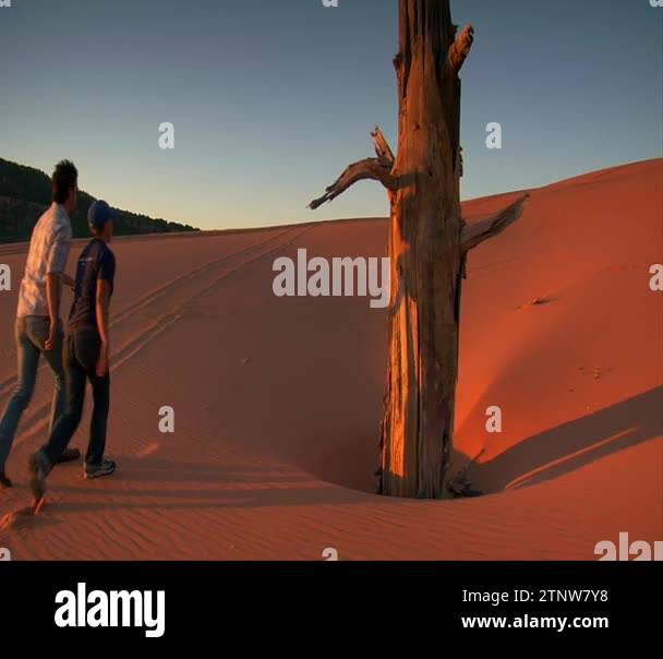 Dune walk Stock Videos & Footage - HD and 4K Video Clips - Alamy