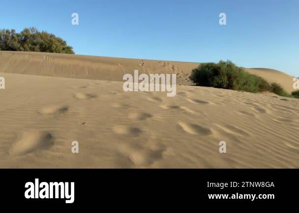 landscape death valley national park Mojave sand dunes desert landscape ...