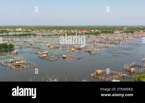 Fish ponds for bangus, milkfish. Farming aquaculture or pisciculture ...