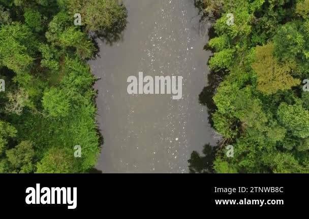 The amazon river pollution Stock Videos & Footage - HD and 4K Video ...