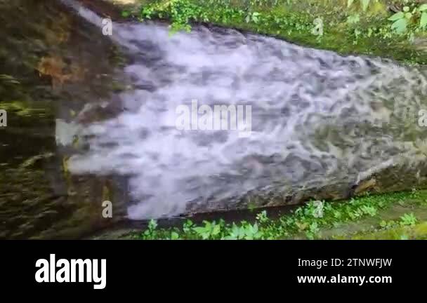 An awe-inspiring video showcasing a soothing natural water flow. Clear ...