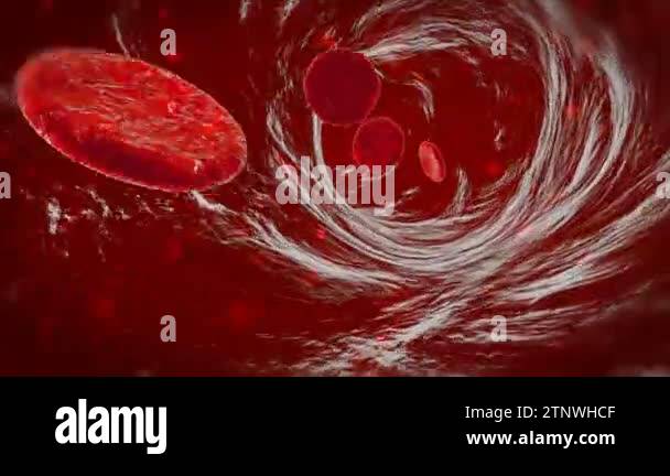 3D blood cells traveling through a vein. Red blood cells flowing in ...
