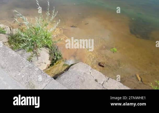 Storm water drain. storm collector in the city. Domestic drains flowing ...