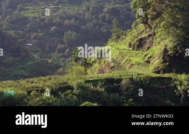 Splendor mountain Stock Videos & Footage - HD and 4K Video Clips - Alamy