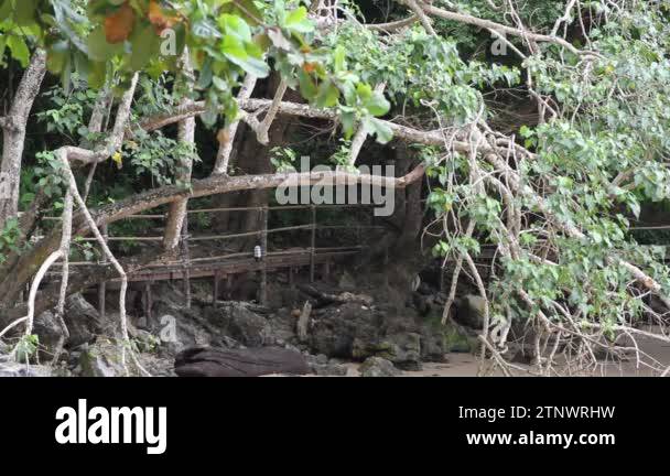 Body pai Stock Videos & Footage - HD and 4K Video Clips - Alamy