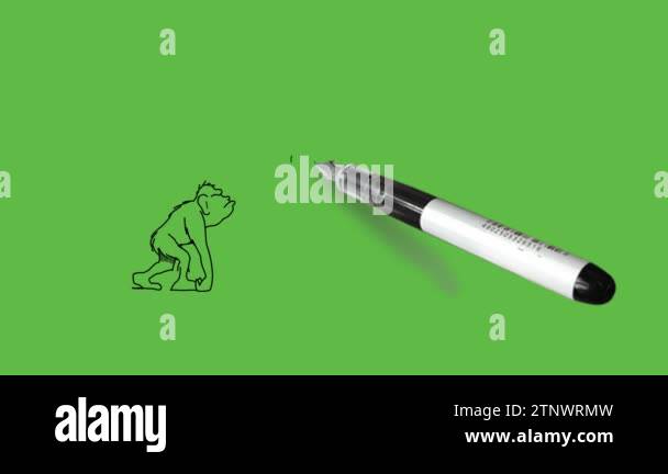 draw human evolution ape of different stage of man's life begin with ...