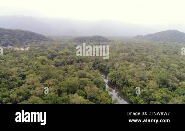 Amazon rainforest amazonia south america Stock Videos & Footage - HD ...