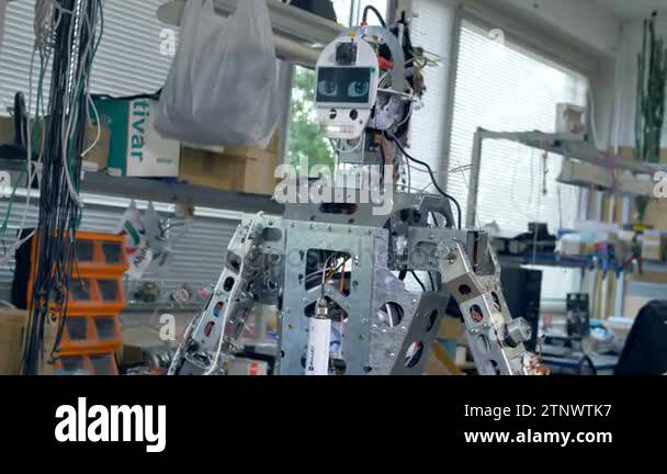 Arm movements Stock Videos & Footage - HD and 4K Video Clips - Alamy