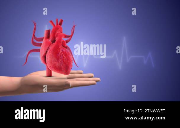 Hand heart care logo Stock Videos & Footage - HD and 4K Video Clips - Alamy