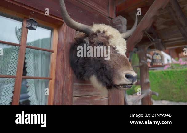 Swiss decor Stock Videos & Footage - HD and 4K Video Clips - Alamy