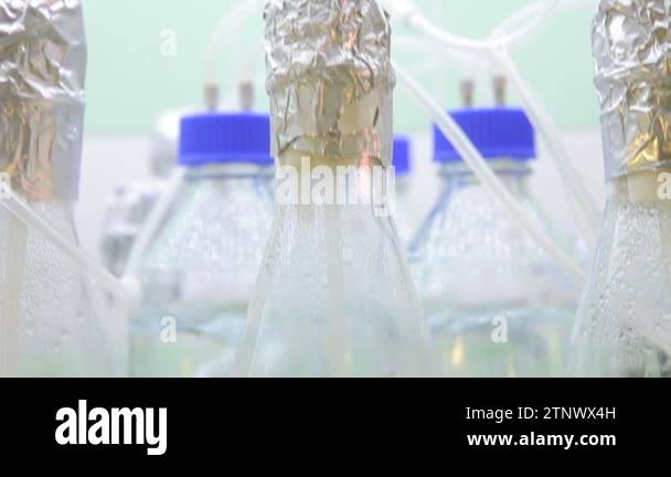 Algae growth in vitro test-tube oxygen bubbles, tube, science modern ...